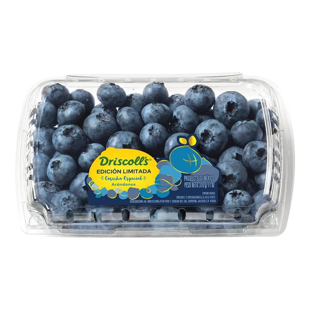 Blueberry cosecha especial Driscoll's 310 g | Walmart en línea