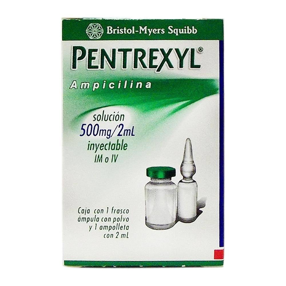 Pentrexyl 500 mg/2 ml solución inyectable 1 aplicación | Walmart en línea